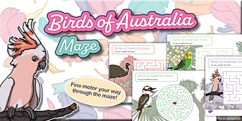 Persuasive Writing Texts PowerPoint Year 1 and 2