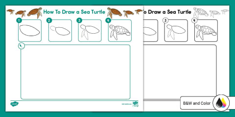 Step-By-Step Directed Drawing Pack for Beginners