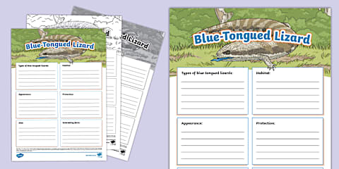 Lizard Habitat Diorama STEM Activity Pack