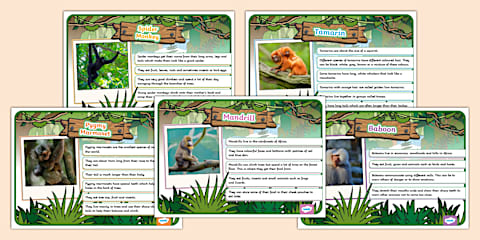 KS2 Squirrel Monkey Fact File