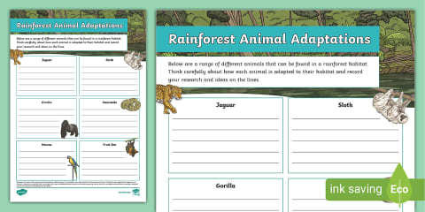 Animal Adaptations Photo Flashcards