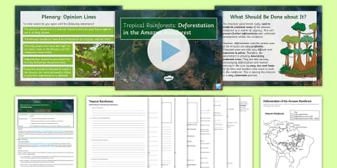 Deforestation Facts and Information PowerPoint