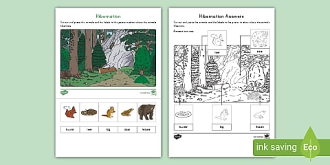 Animal Hibernation Sorting Worksheet