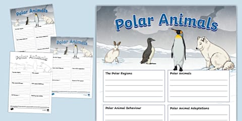 Polar Animals Fact Cards Template
