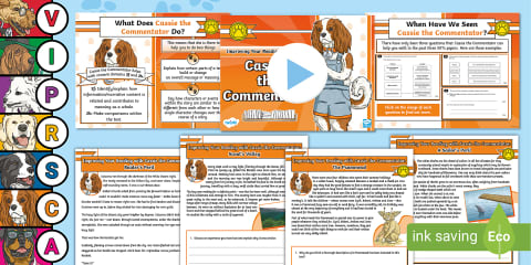 Paired/Partner Reading KS2 Activity Sheet
