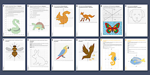 Animal Coordinate Graphing Worksheets | Graph Art | Maths