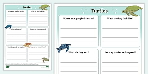 Turtles Cloze Worksheet