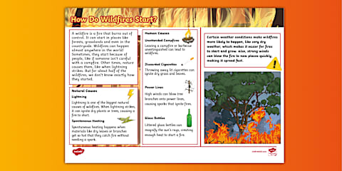 Second Grade Preventing Wildfires Fact File and Vocabulary Questions