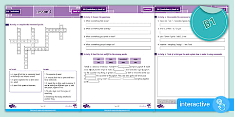 ESL Curriculum Level 10, Lesson 2 Interactive Activity Sheet
