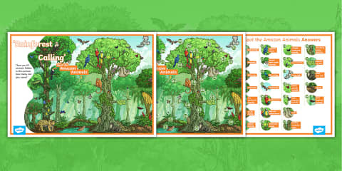 Rainforest Spot the Difference Game