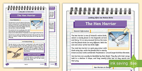 Acid Rain Fact File Template