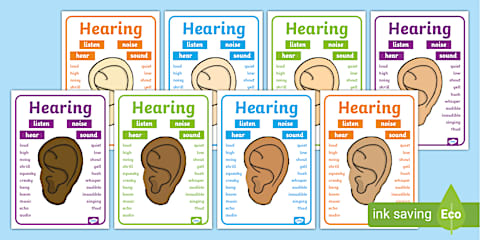 Taste Display Borders