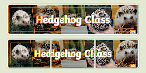 Hedgehogs Class Display Banner - hedgehog, class, autumn, sign, label ...