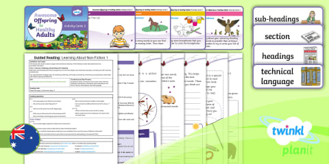 Year 2 Living Things: Guided Reading Session 3
