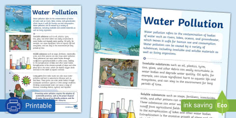 Water Pollution Sorting Activity