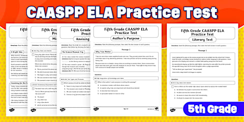 Fifth Grade Find the Theme Task Cards