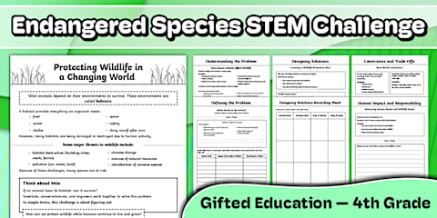 Animals A-Z Divergent Thinking Challenge Tasks for Gifted Education ...
