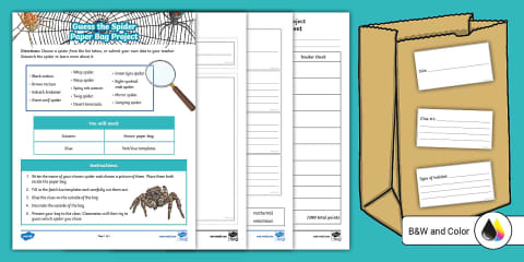 Spiders Fun Facts Quiz for 3rd-5th Grade
