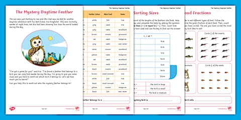 Year 2 The Maths Mystery of Who Won the Holiday Project