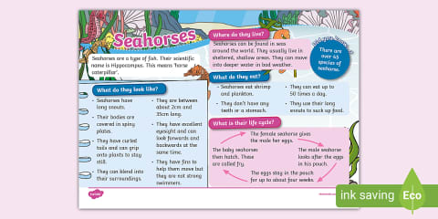 Parts of a Seahorse Labelling Worksheets