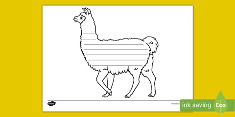Llama Door Display