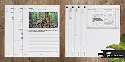 GCSE AQA Tropical Rainforest Characteristics Reading Comprehension