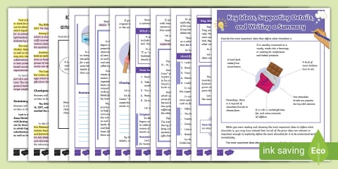 Summary Format Template | Twinkl
