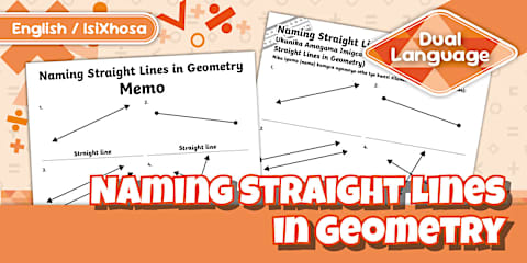 Grade 7 Maths - Term 2 - How to Multiply Fractions Together - Activity ...