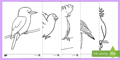 How the Birds Got Their Colours Story Sequencing Cards-Australia