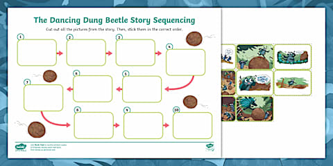 Dung Beetle Life Cycle Poster