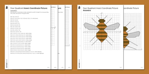 Cartesian Plane Coordinates Mystery Picture – Beyond Maths