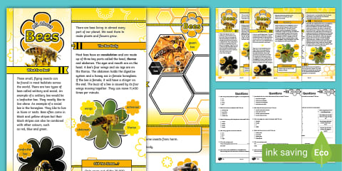 Busy Honeybees Reading Comprehension