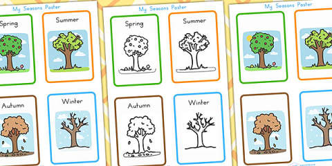 Seasons Activity