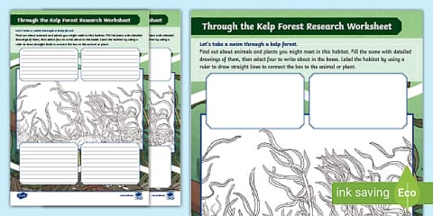 Through the Kelp Forest Label and Colour Worksheet