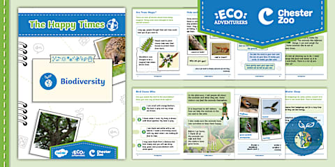Year 1 Biodiversity: Display Pack
