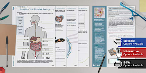 Human Body Systems Matching Activity
