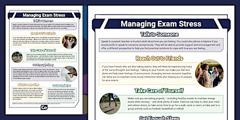 Revision Techniques Poster Pack