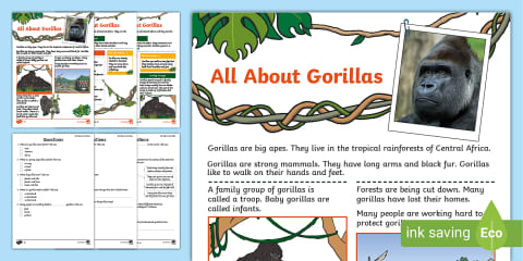Reading/Writing Responding to Text Worksheet: Gorillas