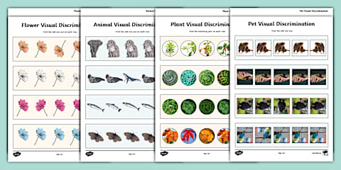Preschool: Prehistoric Animals - Visual Discrimination Activity Sheets