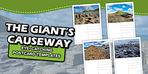 Northern Lapwing Simile Poem Template