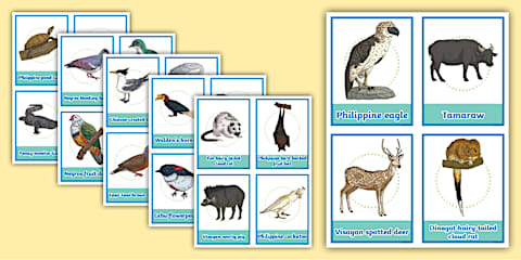 Critically Endangered Philippine Animals Poster