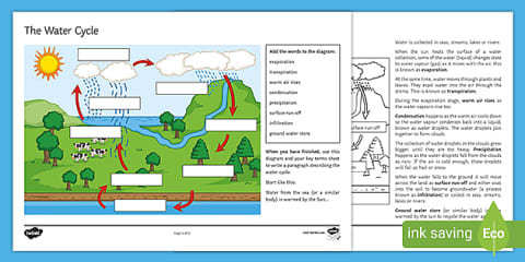 Interactive Water Cycle