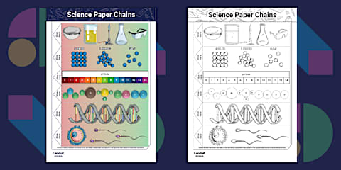 Sea Creatures Food Chain Paper Chain Activity