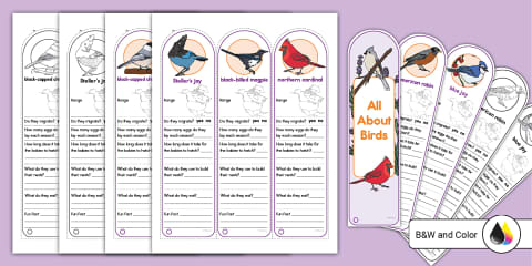 Portable Birds Identification Frame Viewer