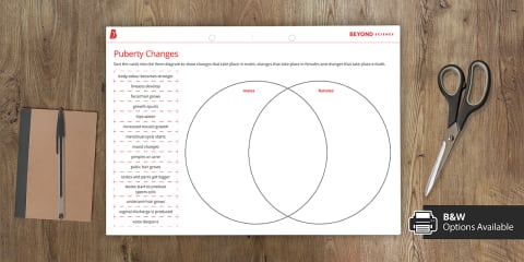 Changes and Transitions Worksheet