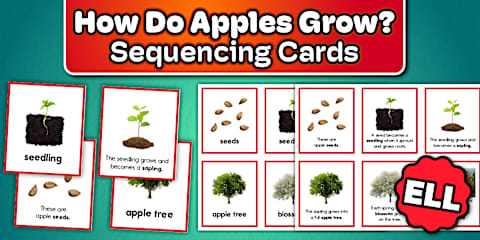 Rainbows Reading Passage Comprehension Worksheet for ELL