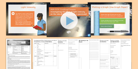 Photosynthesis Experiment - UAE Plants
