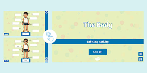 Parts of the Human Body Interactive Matching Game