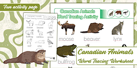Describe the Summer Vacation Photos Worksheet