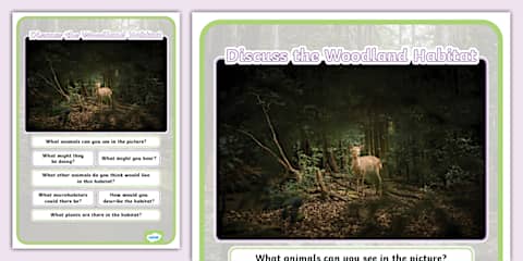 Woodland Habitat Interactive Labelling